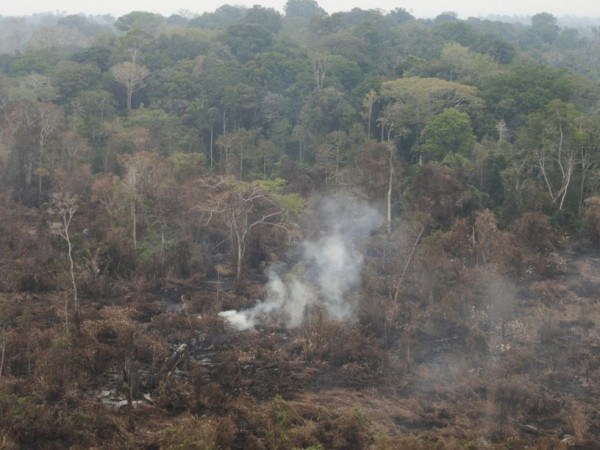 Amazônia tem 2,5 milhões de hectares queimados em agosto