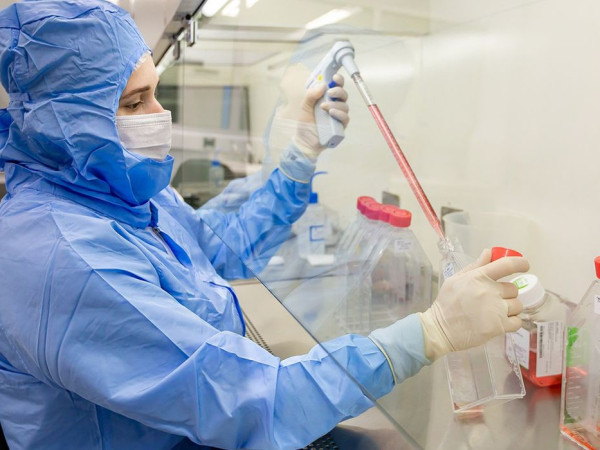 Estudo usa células-tronco contra complicações do transplante de medula