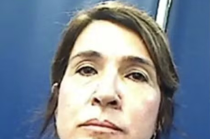 Filha de "herói" da Revolução Cubana é detida pelo ICE na Flórida por ...