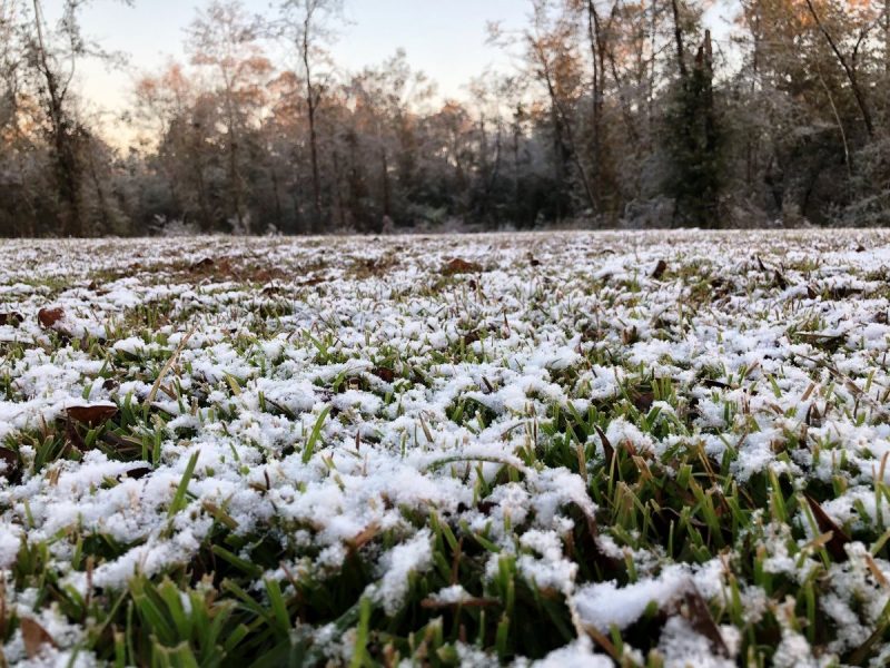 Flórida vê neve e temperatura continua baixa em todo estado